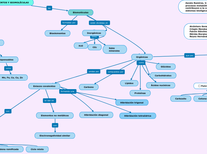BIOELEMENTOS Y BIOMOLÉCULAS - Mind Map